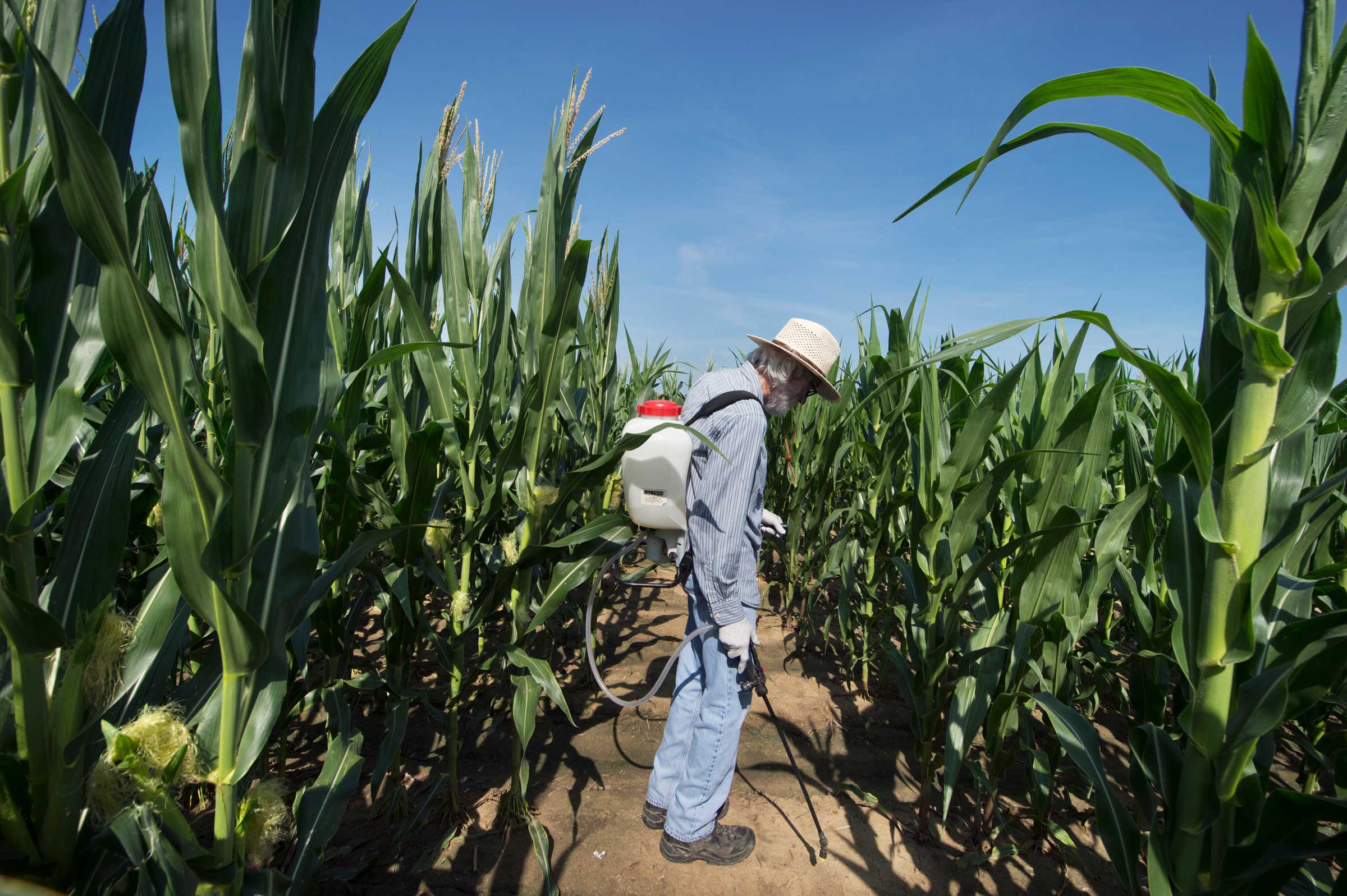 U.S. Department of Agriculture | msepscor